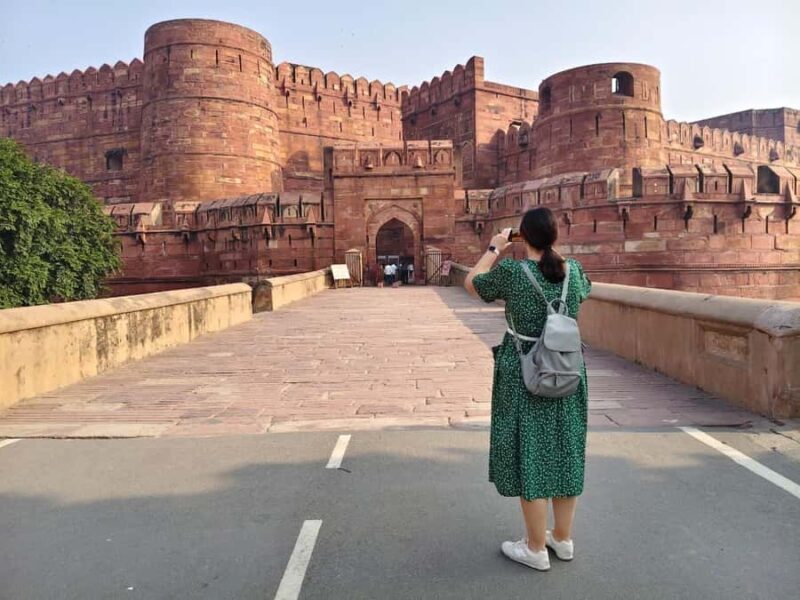 Taj Mahal & Elephant SOS Overnight Tour From Delhi Overnight - A Practical Guide to the Taj Mahal & Elephant SOS Overnight Tour