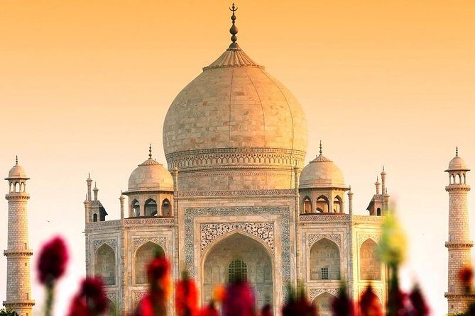 Taj Mahal Sunrise and Agra Fort Tour From Delhi By Private Car - Who Is This Tour Best For?