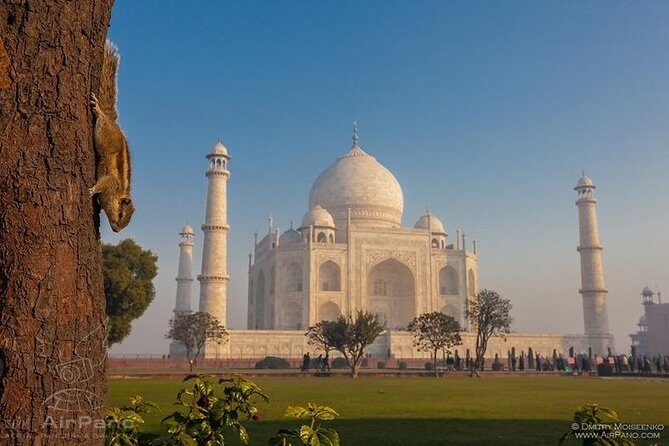 Taj Mahal tour with Elephant and Bear conservation center from Delhi - Transport & Practical Details