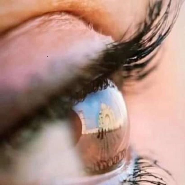 Taj Mahal with Professional Photoshoot - The Sum Up