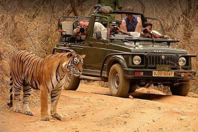 Taj Mahal With Rajasthan Desert Tour 15 Days Ex. Delhi - FAQs