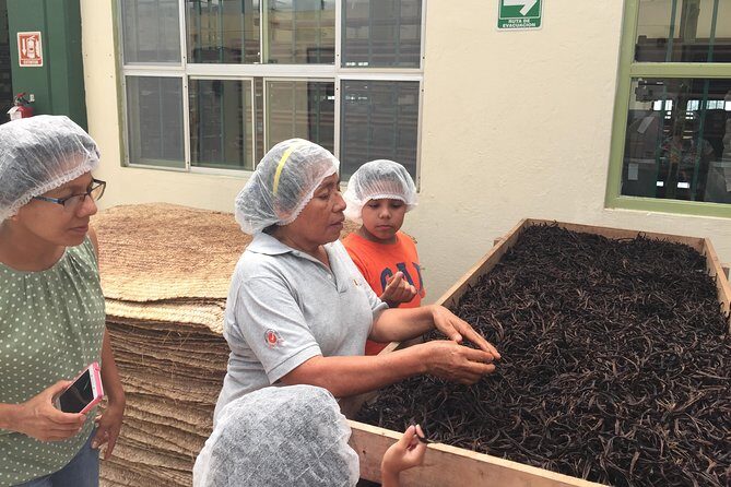 Tajin Ruins Day Trip and Vanilla Factory Experience - Tajín Ruins Day Trip and Vanilla Factory Experience Review