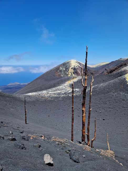 Tajogaite Volcano: the official route with a certified local guide - The Experience: An In-Depth Look at the Tour