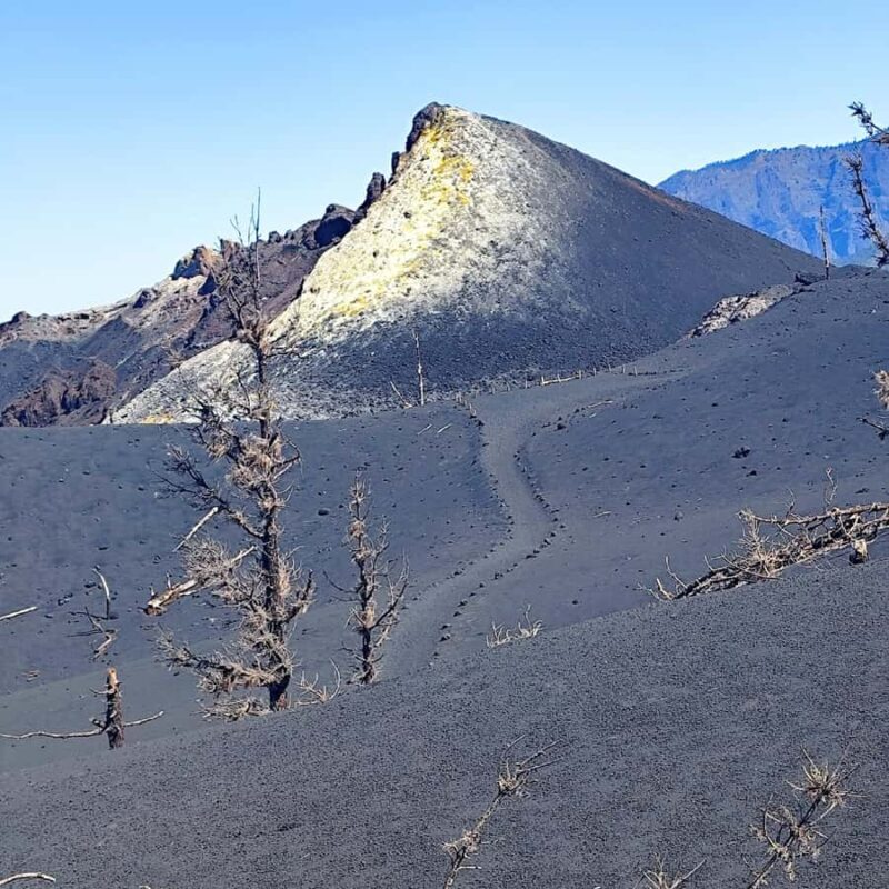 Tajogaite Volcano VIP Experience: Private Tour with Certified Tour Guide - Who Will Love This Tour?