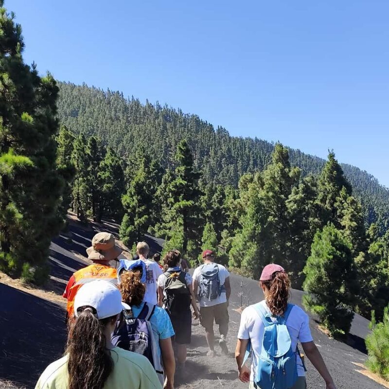 Tajogaite Volcano VIP Experience: Private Tour with Certified Tour Guide - FAQs