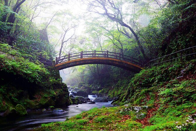 Takachiho Gorge & Ancient Shrines Day Trip from Fukuoka - An Introduction to the Tour Experience