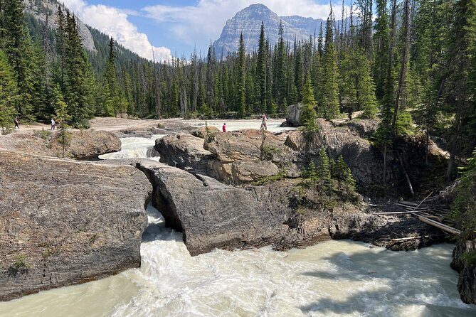 Takakkaw Falls Yoho National Park Bus Tour - Authentic Experiences and What Travelers Say