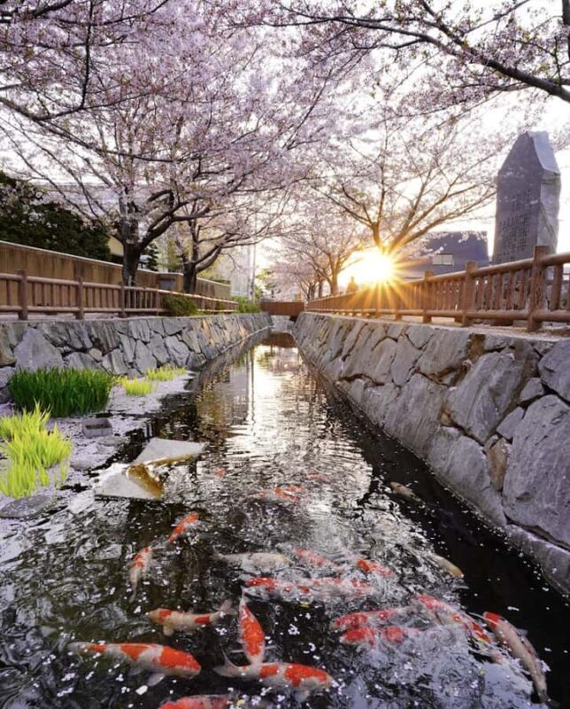 Takamatsu/Kagawa Private Custom Tour with Local Guide - The Sum Up