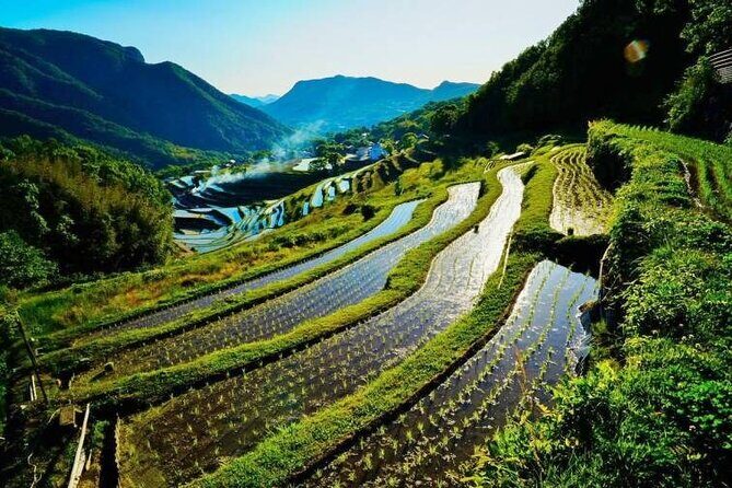 Takamatsu or Uno to Shodoshima Private Car and Ferry Tour - FAQs