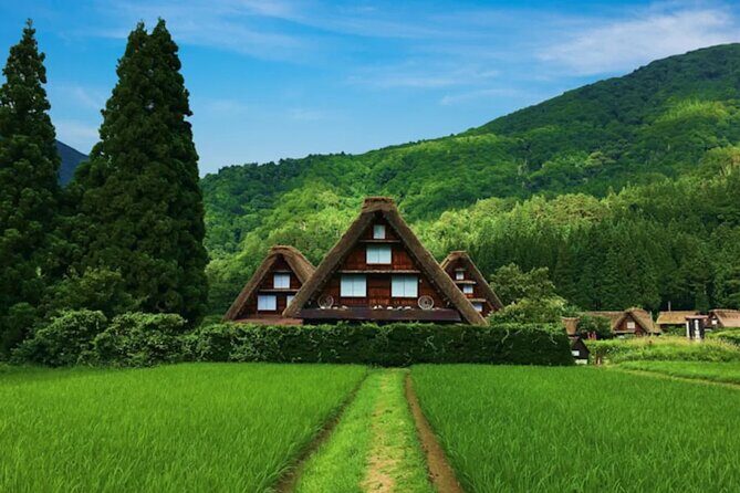 Takayama and Shirakawa Day Tour with Hida Beef Lunch from Nagoya - An In-Depth Look at the Tour Itinerary