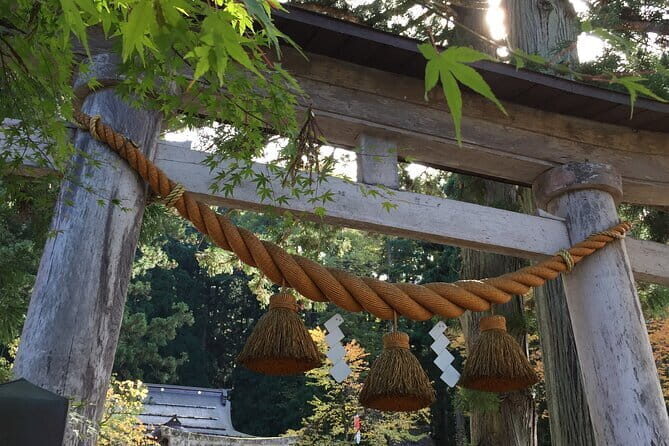 Takayama and Shirakawago Private Guided Tour Using Minivan - An Honest Look at the Experience