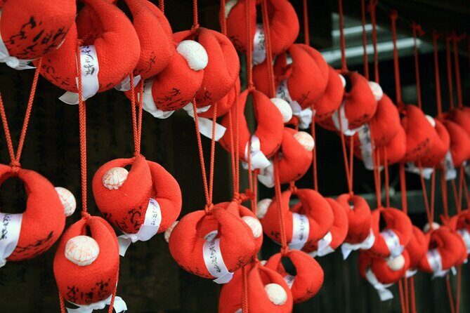 Takayama Full Day Tour (Private Guide) - Final Thoughts