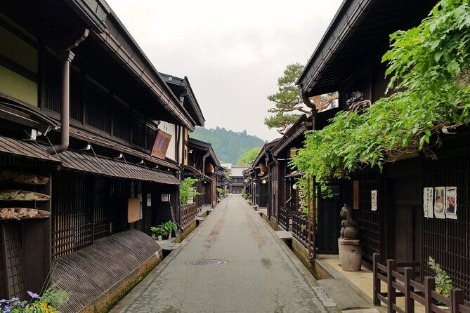 Takayama Half Day Tour (Private Guide) - Who Should Consider This Tour?