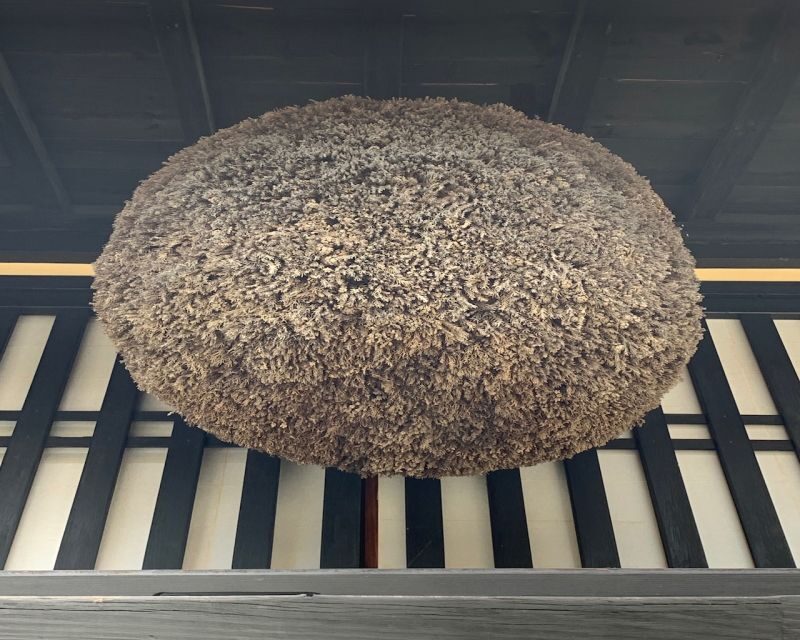 Takayama: Old Town Guided Walking Tour 45min. - Limitations and Considerations