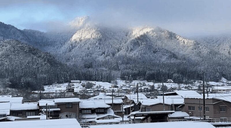 Takayama Private Custom Tour with Local Guide - Authenticity and Guest Experiences