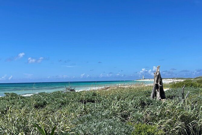 Take a Ride in your Buggie in Cozumel only from Tulum - What’s Included and What’s Not