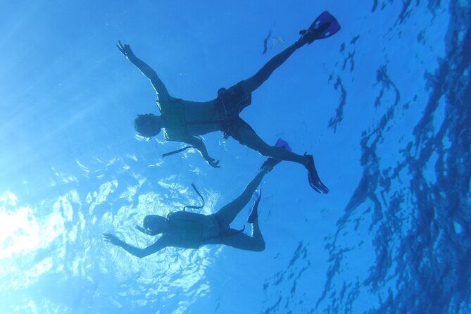 Take a Ride in your Buggie in Cozumel only from Tulum - What Do Travelers Say?
