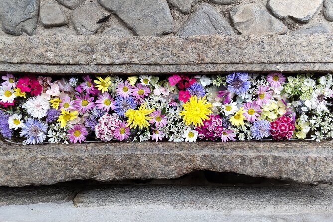 Take a Stroll Back in time at Takehara, Hiroshima's Little Kyoto - FAQ