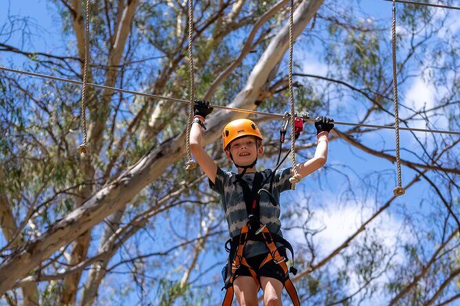 Take the Challenge and Conquer the Salisbury Treetops - Setting the Scene: What to Expect