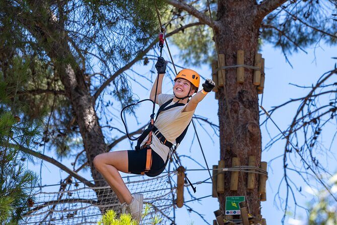 Take the Challenge and Conquer the Salisbury Treetops - What Makes It Valuable?