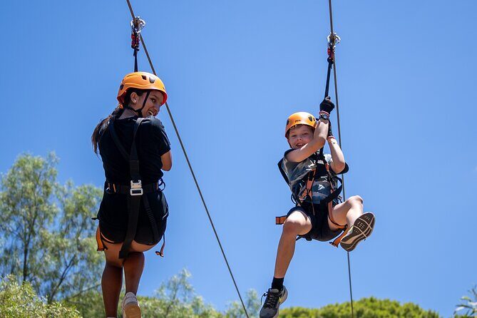 Take the Challenge and Conquer the Salisbury Treetops - Who Will Love This?