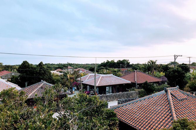 Taketomi Island Walk Tour with an Island Guide - Introduction