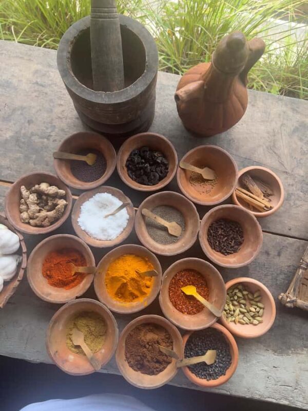 Talangama Wetlands Birdwatching & Local Village Experience - Key Points