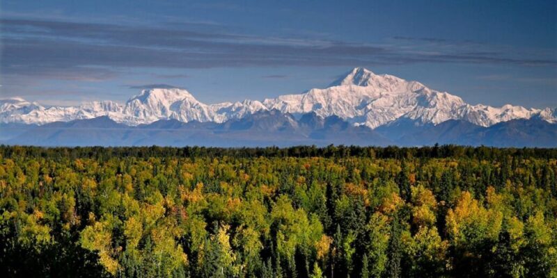 Talkeetna: Denali Zipline Tours - Navigating the Details of Talkeetna’s Denali Zipline Tours