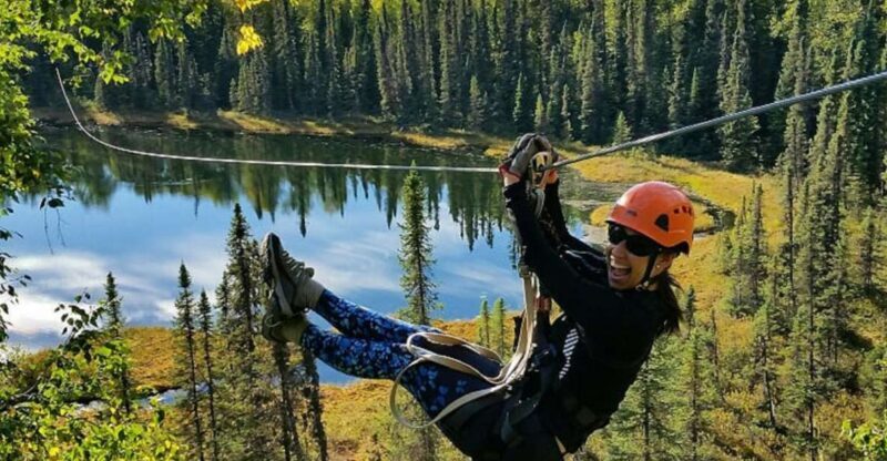 Talkeetna: Denali Zipline Tours - Setting the Stage: The Experience Begins