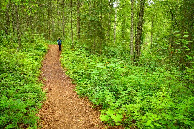 Talkeetna Lakes Hike Guided by a Naturalist - Why Choose the Talkeetna Lakes Hike?