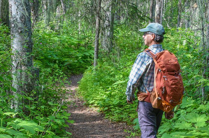 Talkeetna Lakes Hike Guided by a Naturalist - Is It Worth It?