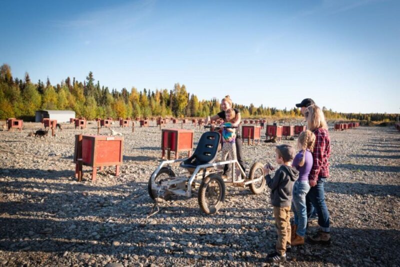 Talkeetna: Mushing Experience with Iditarod Champion Dogs - Final Thoughts
