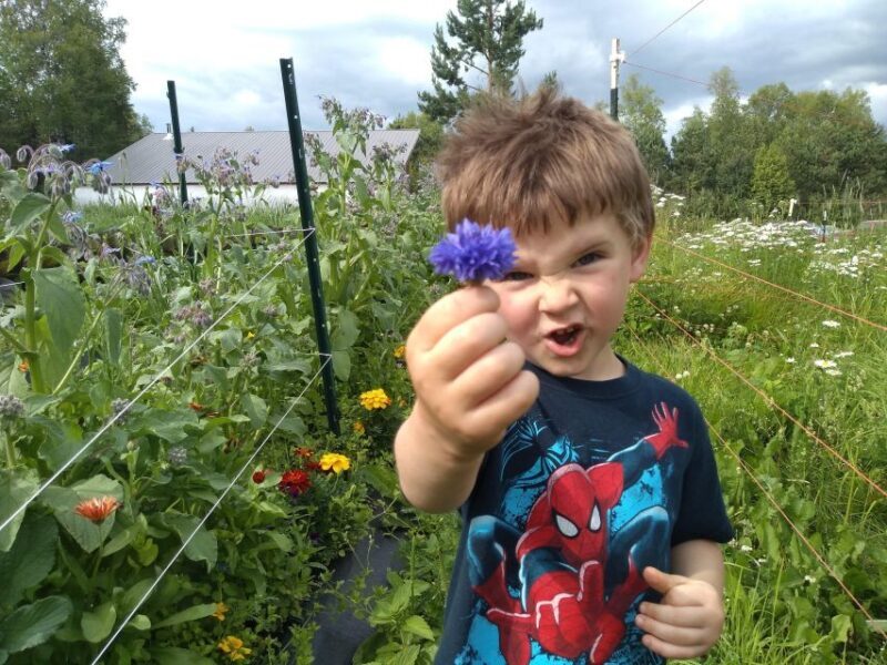 Talkeetna: The Reindeer Grove Homestead Tour and Forage - Exploring Talkeetna’s Reindeer Grove Homestead Tour: What It’s All About