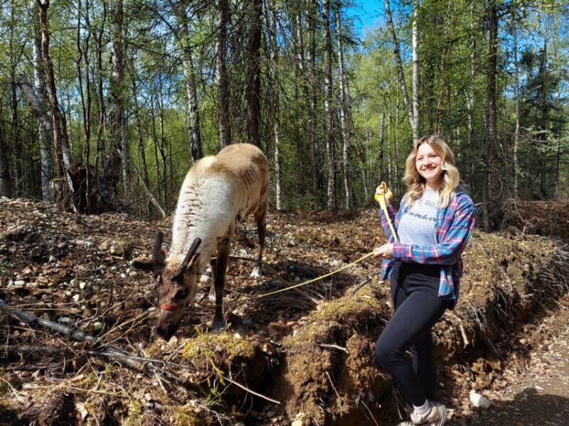Talkeetna: The Reindeer Grove Homestead Tour and Forage - Final Thoughts
