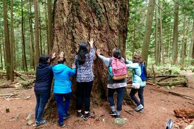 Talking Trees: Stanley Park Indigenous Walking Tour Led by a First Nations Guide - Final Thoughts