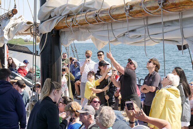 Tall Ship Silva Sailing Cruise Ft. a Live Musician - Price and Value: How Does It Stack Up?