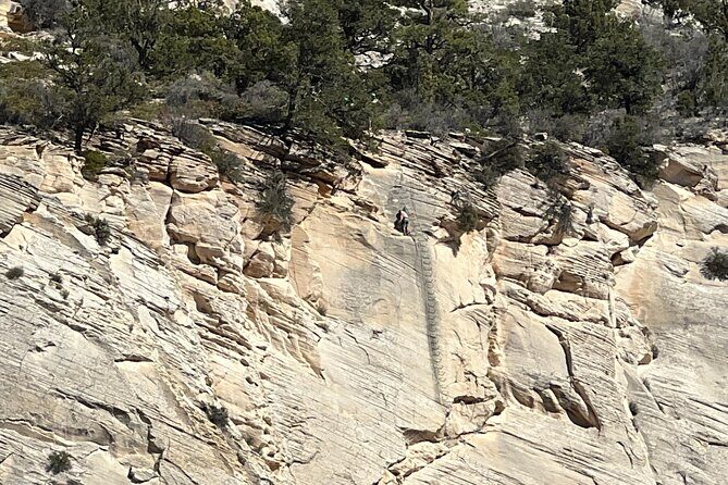 "Tallest in Utah" Via Ferrata & Rappelling (4 hr) - Value and Price Analysis