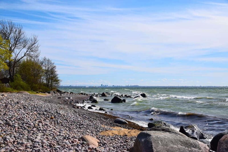 Tallinn: 3-Hour Ethnographic Museum of Estonia - An In-depth Look at the Ethnographic Museum Tour