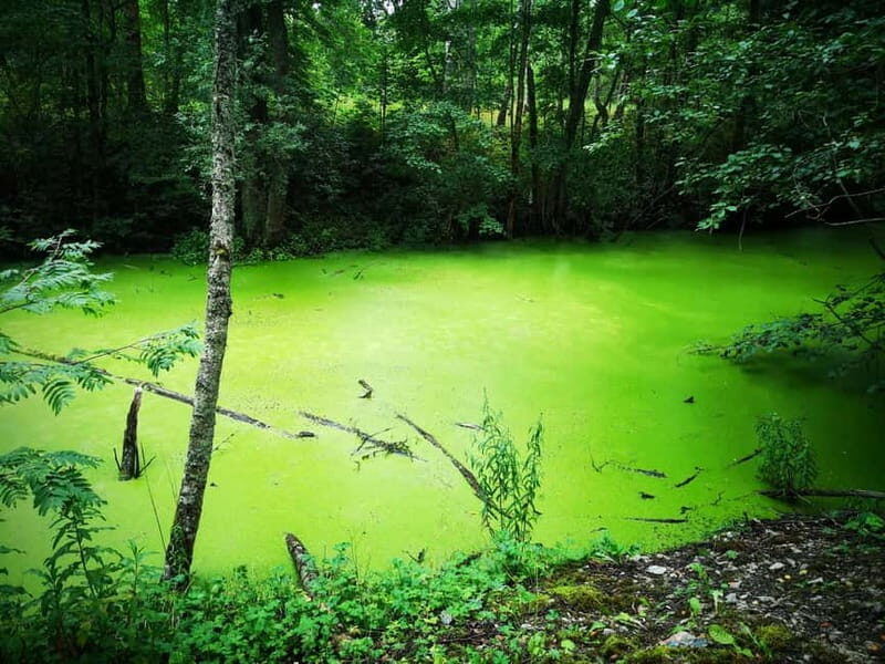 Tallinn: Astangu Nature and History Hike - Discover Estonia’s Underground and Coastal Charm on the Astangu Nature and History Hike