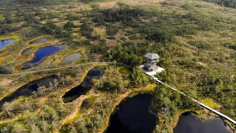 Tallinn: Best Estonian Nature Trails in a Day Guided Tour - A Detailed Look at the Tour Itself