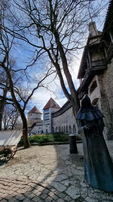 Tallinn City Private Tour - Pricing and Value