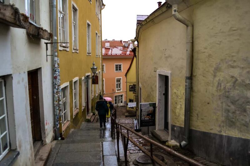 Tallinn Classic: Old Town and Kadriorg District Guided Tour - The Sum Up