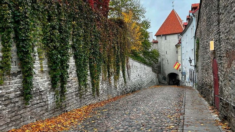 Tallinn: Guided Old Town Historical Walking Tour - Final Thoughts