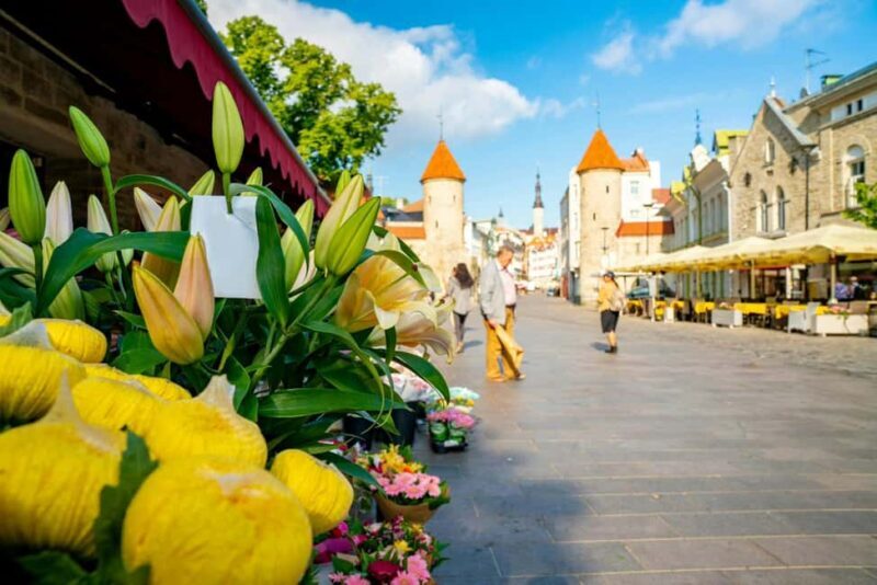 Tallinn Old Town: Stories and Views 2Hour Walking Tour - Key Points