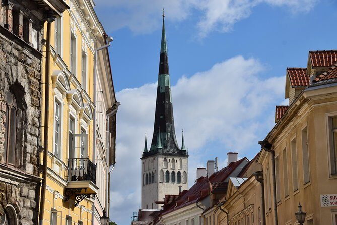 Tallinn Old Town Tour combined with Bog Walk - Why This Tour Stands Out