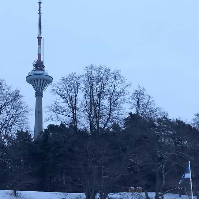 Tallinn TV tower and Botanic garden (a tour with a guide) - Final Thoughts: Who Should Consider This Tour