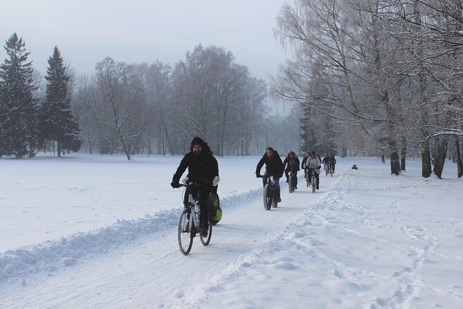 Tallinn Winter Bike Tour with Cafe Stop - Authentic Experiences and Honest Insights