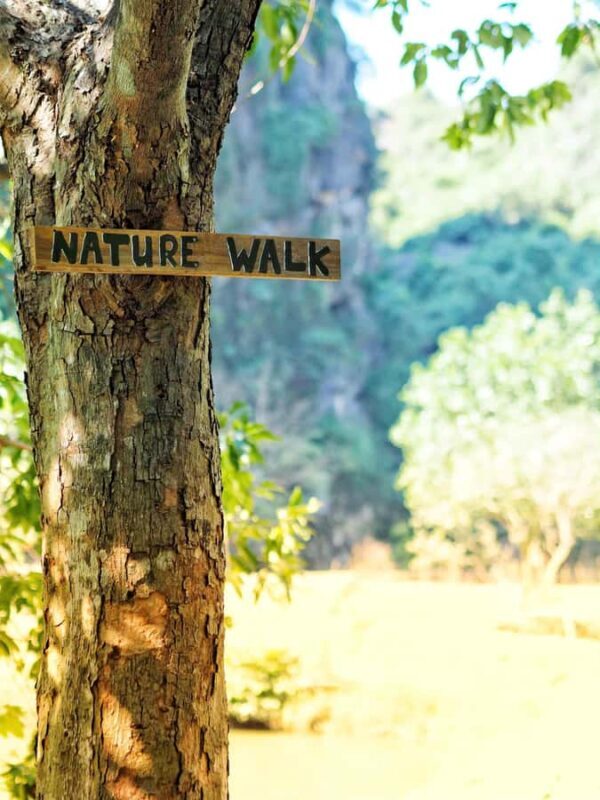 Tam Coc: Dundj Cave Boat Trip & Hidden Valley Experience - Introduction