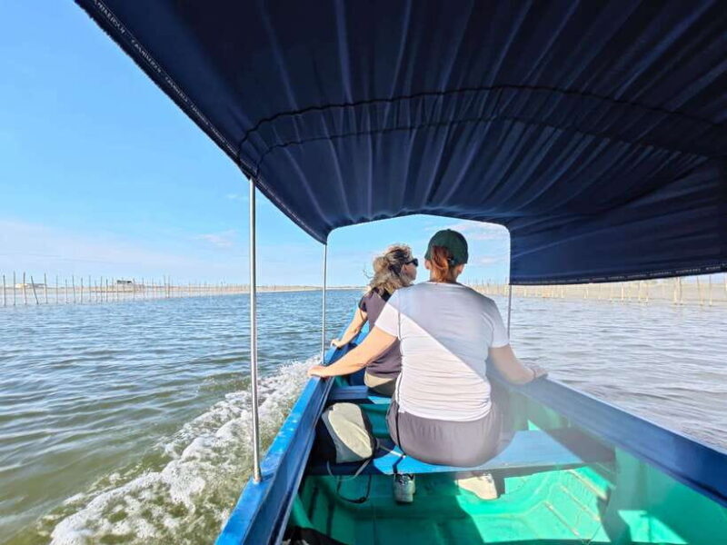 Tam Giang Lagoon & Boat Day Trip with Fishing Experience - Key Points