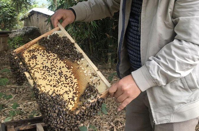 Tam Hiep Island Expedition: Unveiling the Mekong Delta's Treasure - The Sum Up